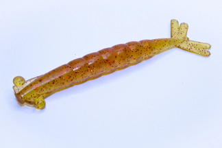 Thumper Shrimp – Reel Deal Bait And Tackle